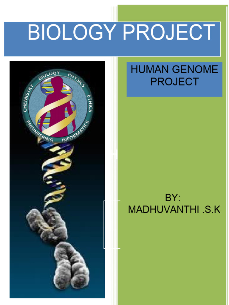 Human Genome Project Overview | PDF