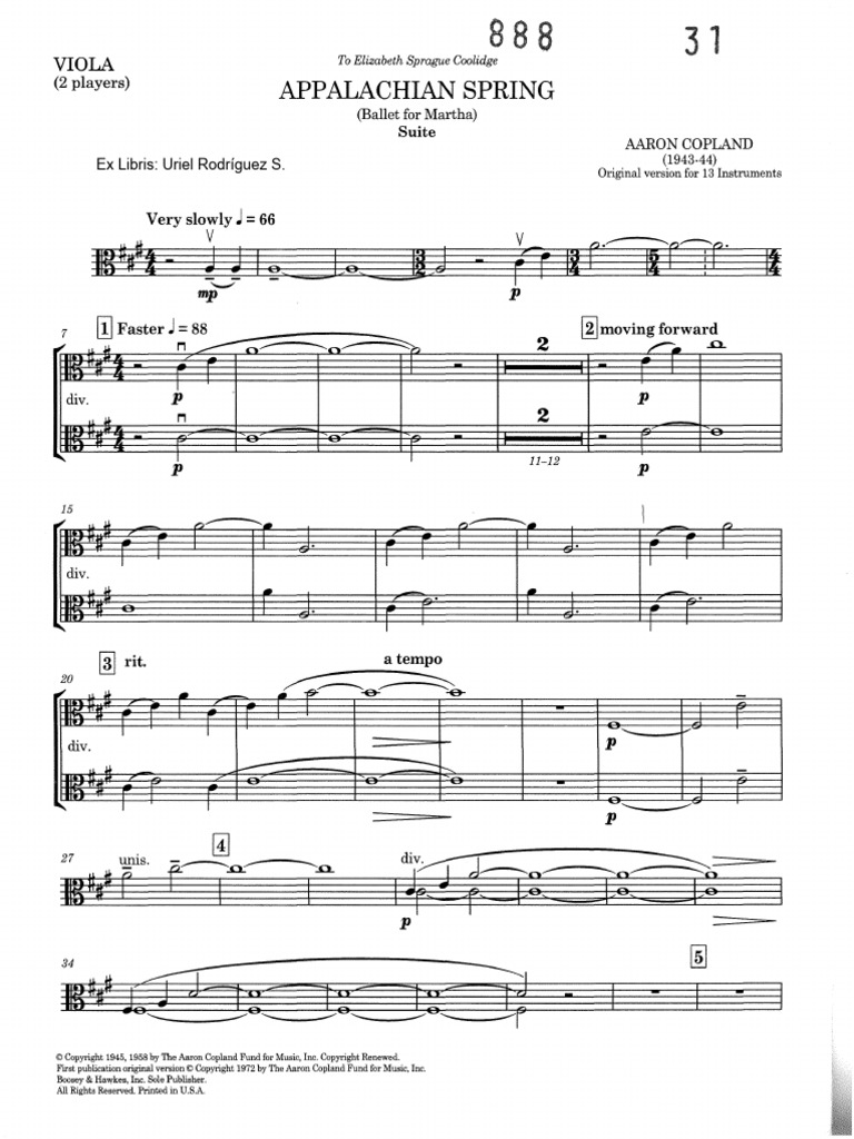 07 Viola | PDF