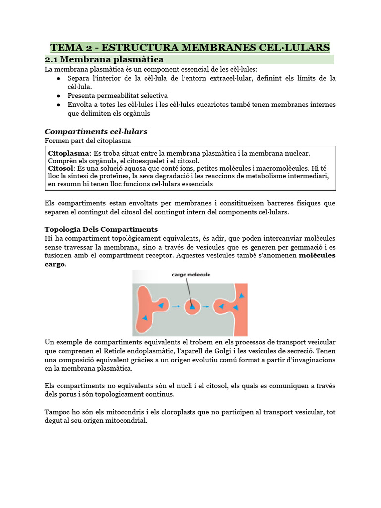 TEMA 2-MEMBRANES (Biocel) | PDF