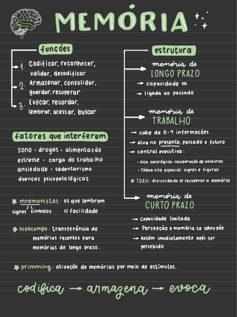 Processos Psicológicos Memória Pdf