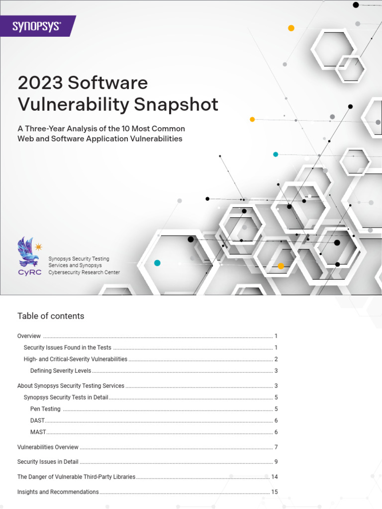 Software Vulnerability Snapshot | PDF