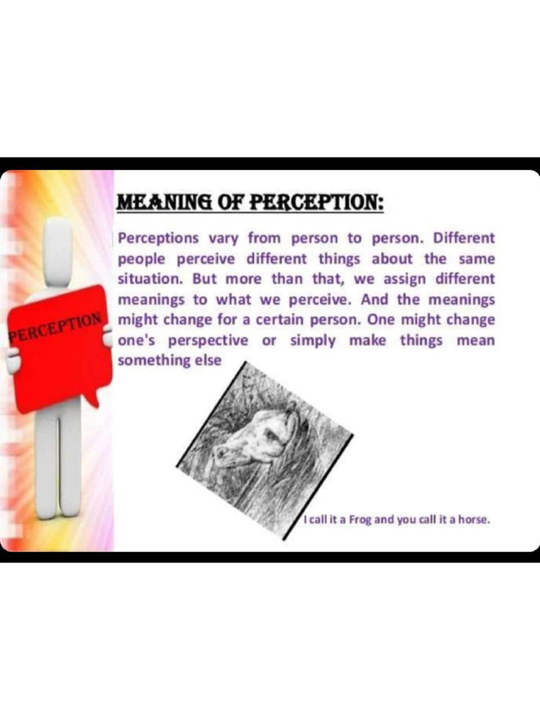 Perception Case Study | PDF