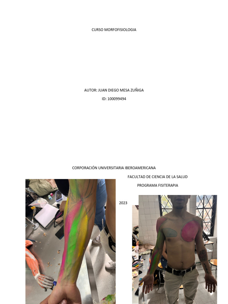 Fotografias Morfo | PDF