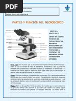 Partes Del Microscopio | PDF