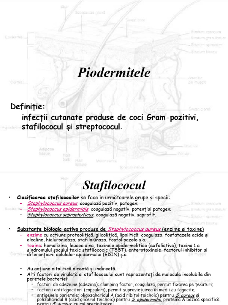07 Piodermite | PDF