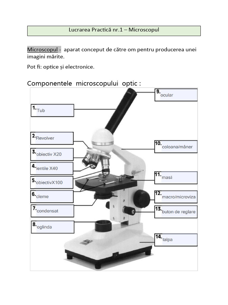 Caiet Lucrari Practice Biocel | PDF