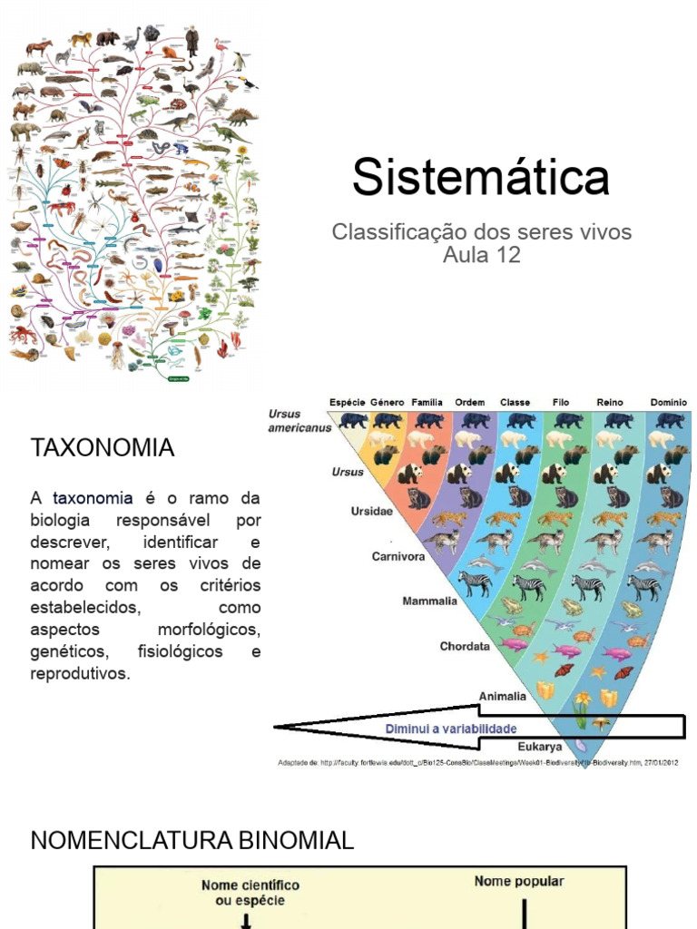 Aula 12 - Sistemática | PDF