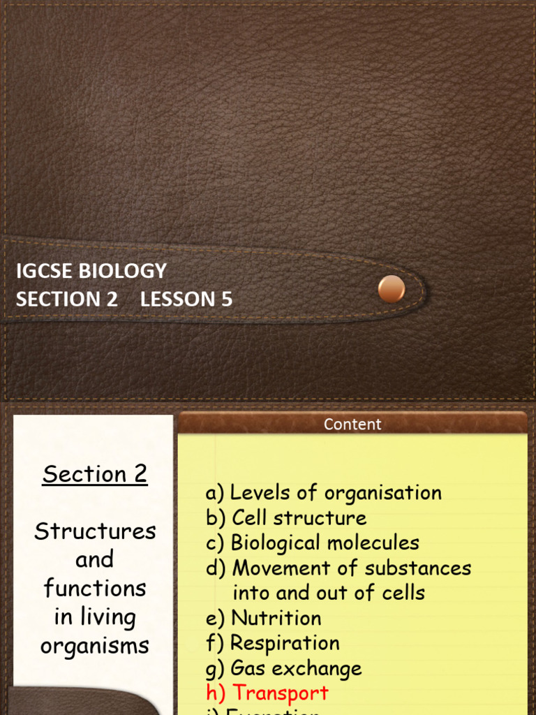 Biology Section 2 Lesson 5 | PDF | Home & Garden