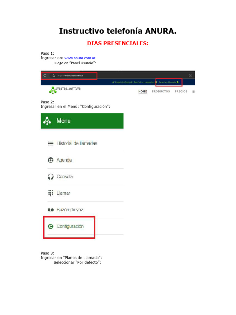 Instructivo ANURA | PDF