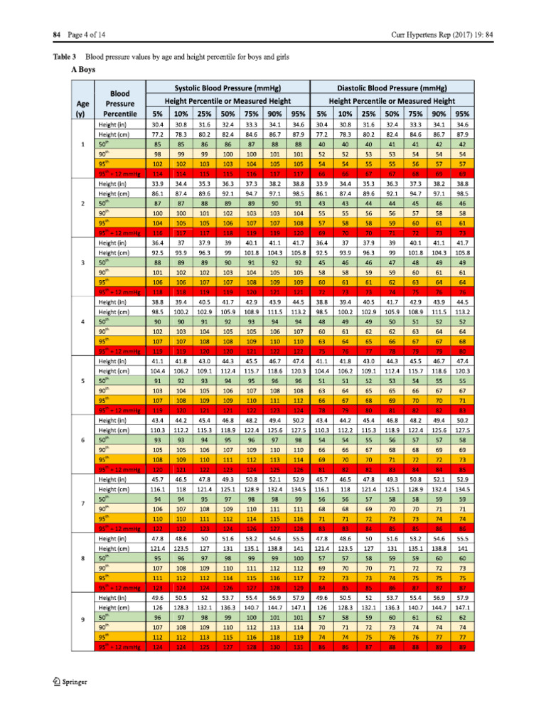 BP Boy 1-9 - Merged | PDF