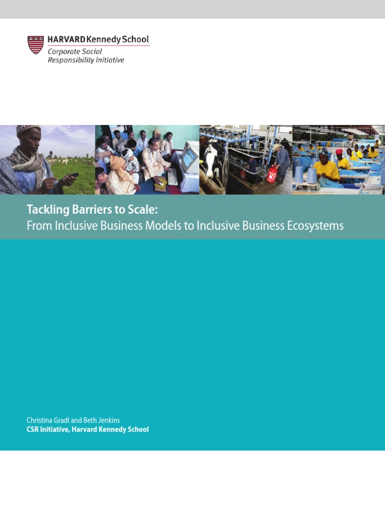 Tackling Barriers To Scale: From Inclusive Business Models To Inclusive ...