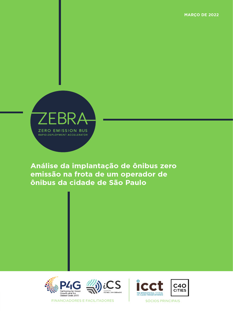 Https WWW - Pnme.org - BR Wp-Content Uploads 2022 03 Sao-Paulo-ZEBRA-A4 ...