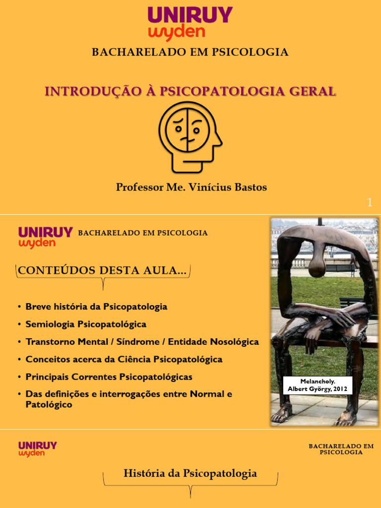 Psicopatologia Geral Aula 02 - Prof. Me. Vin Cius Bastos-1 | PDF