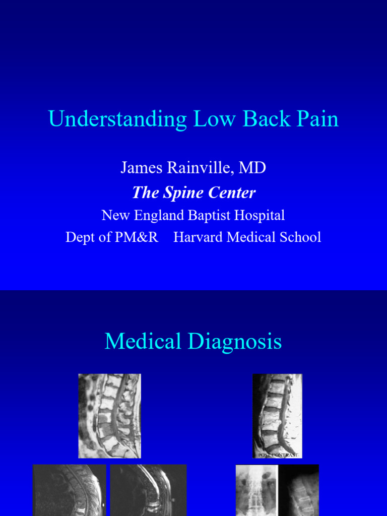 Understanding Back Pain | PDF