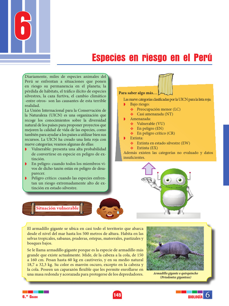 B - P - 6ºgrado - S6 - Especies en Riesgo en El Perú | PDF | Especie en ...