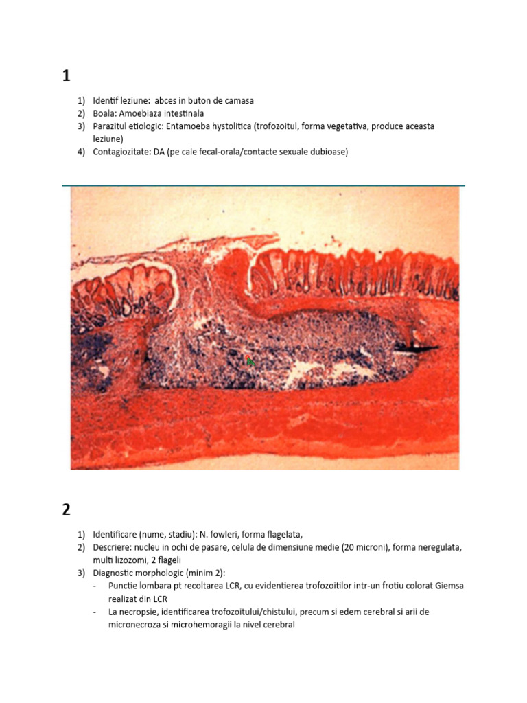 Paraziti Practic | PDF