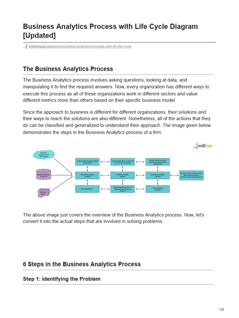 Business Analytics Process With Life Cycle Diagram Updated | PDF