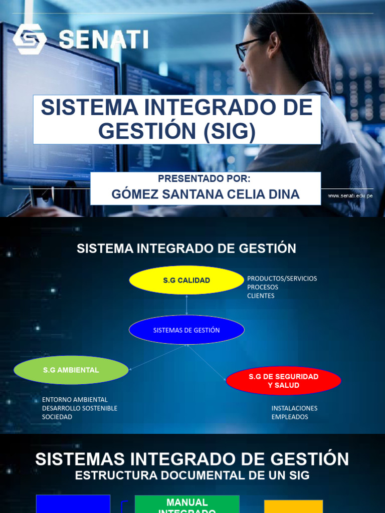 Sistema Integrado de Gestion | PDF