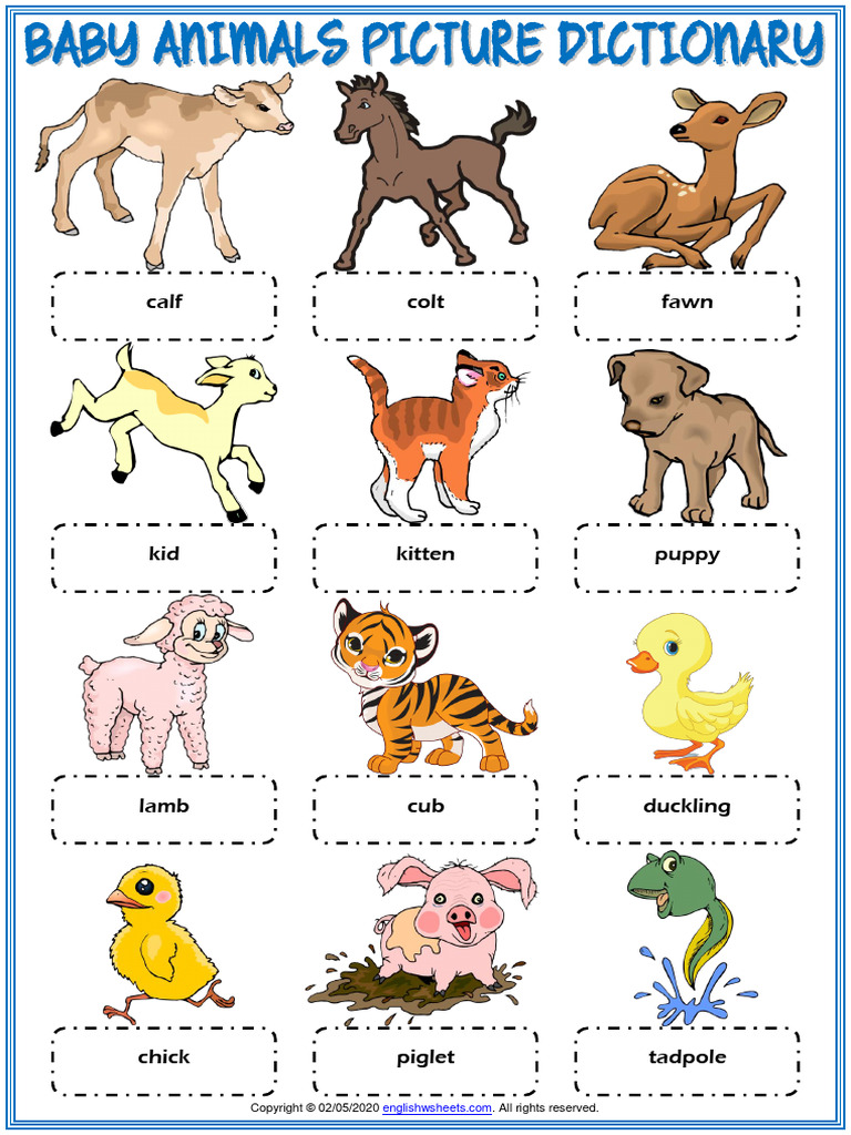Baby Animals Vocabulary Esl Picture Dictionary Worksheet For Kids | PDF