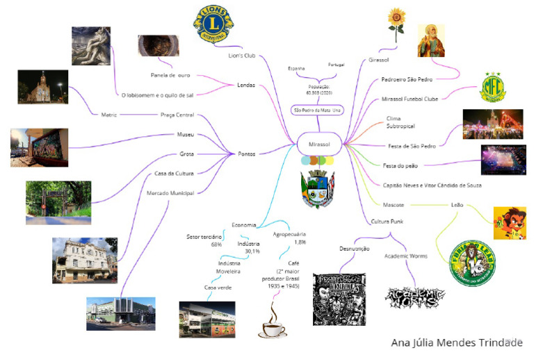 Mapa - Mental - Mirassol - Ana - Julia - Mendes - Trindade | PDF
