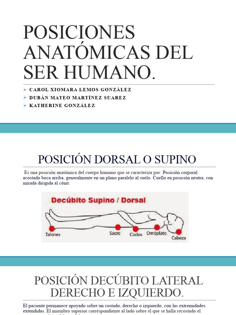 Posiciones Anatómicas Del Ser Humano | PDF | Términos anatómicos de ...