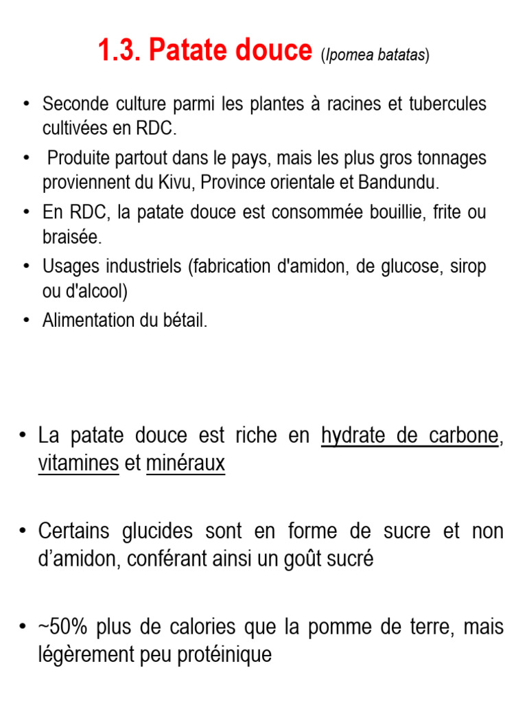 Patate Douce | PDF | Patate douce | Pomme de terre