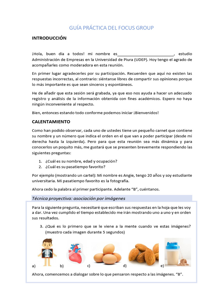 GUÍA PRÁCTICA DEL FOCUS GROUP IMK - Grupo 4 | PDF