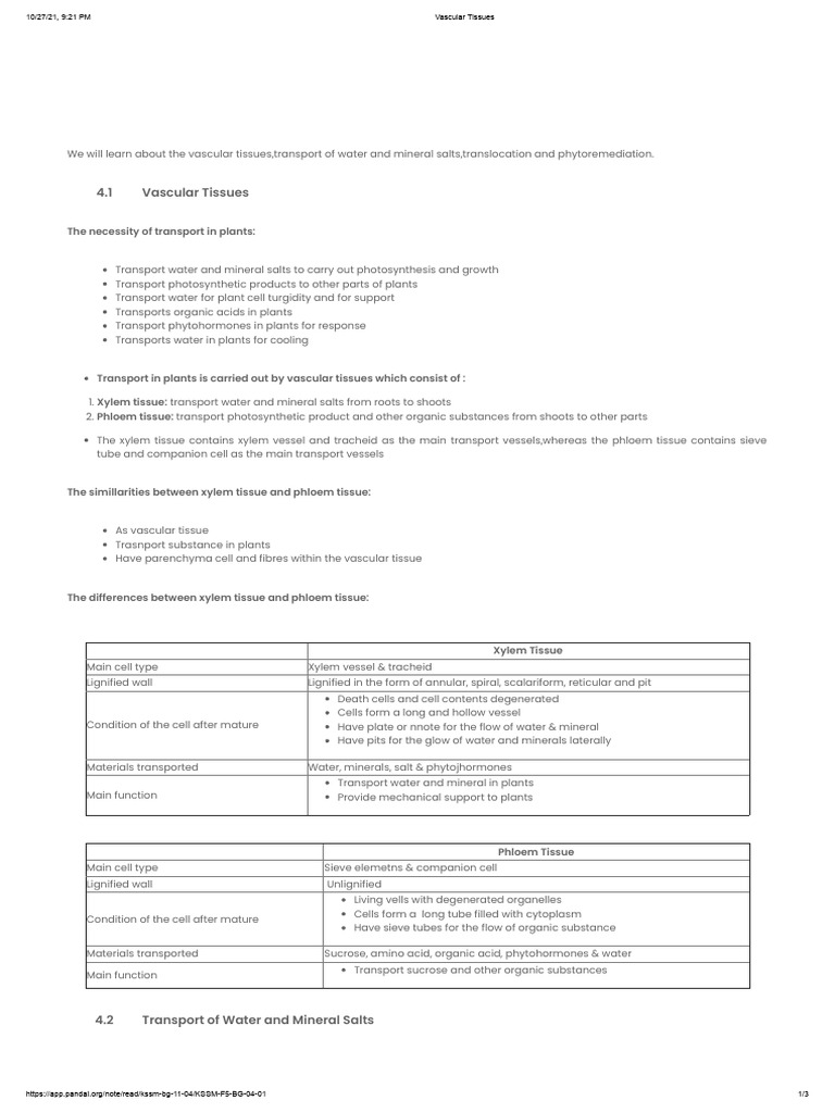 Bio F5 Chap 4 | PDF | Tissue (Biology) | Leaf