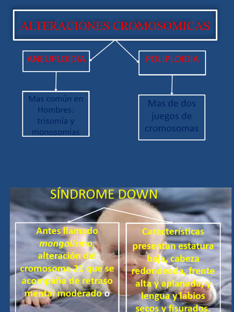 Alteraciones Cromosomicas | PDF