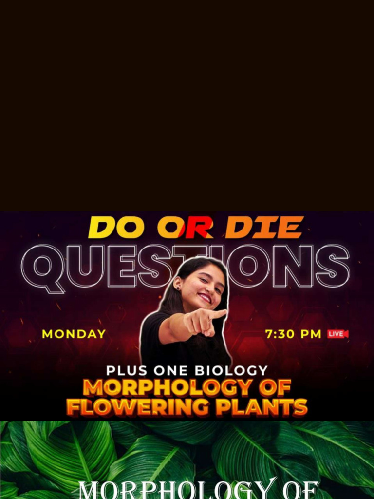 Plus One Biology Morphology of Flowering Plants Chapter 5 Do or Die Questions 09-10-23 | PDF
