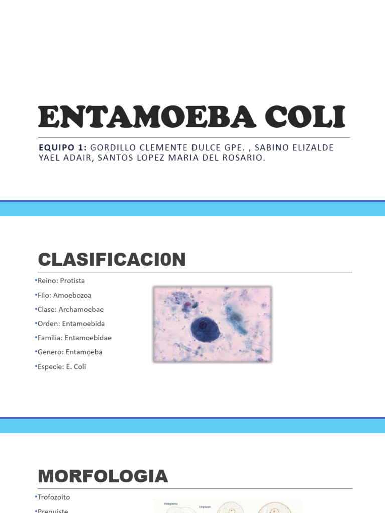 Entamoeba Coli Merged | Descargar gratis PDF | Medicina CLINICA | Biología