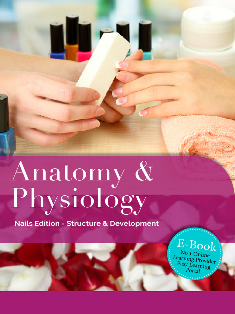 Nail Anatomy and Physiology Guide | PDF | Lymph | Nail (Anatomy)