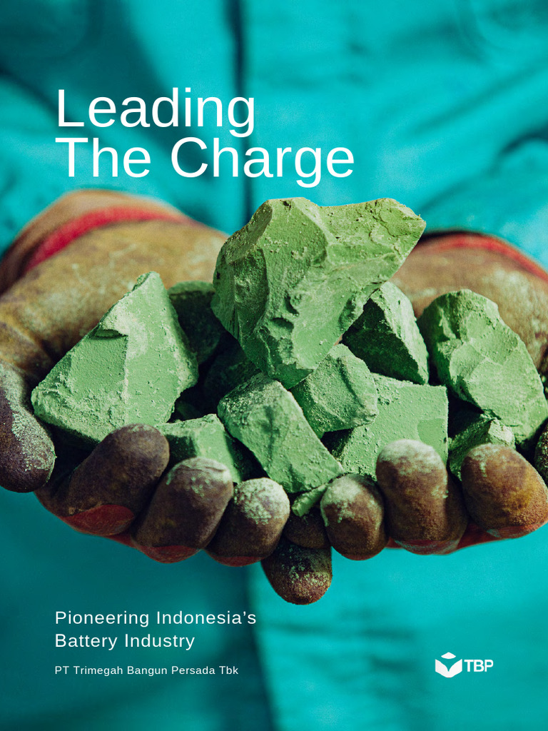 TBP HPAL Report | PDF