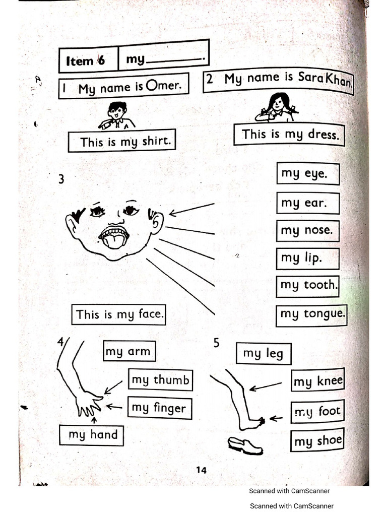 Uses of My with Body Parts | PDF