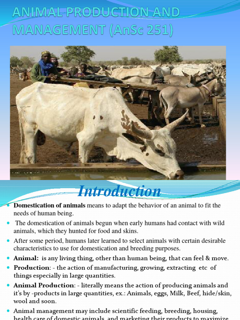 Chapter 1 Animal Production and Management | PDF