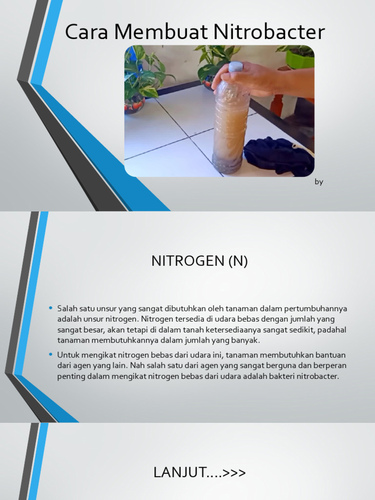 Cara Membuat Nitrobacter | PDF
