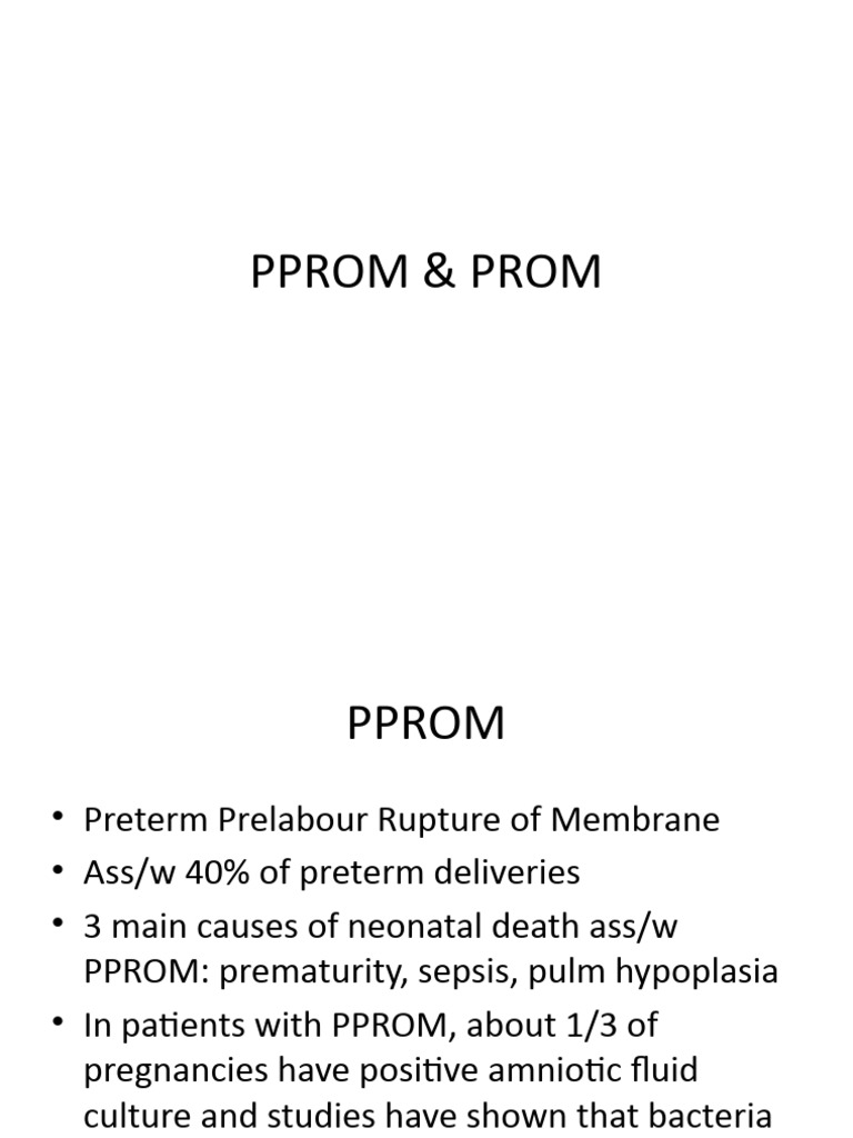 Pprom Prom | PDF | Self-Improvement | Science & Mathematics