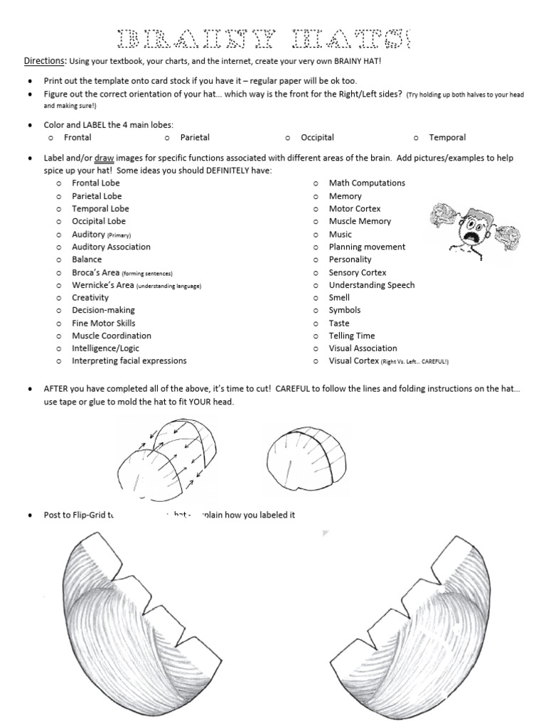 Brain Hats Neuroscience | PDF