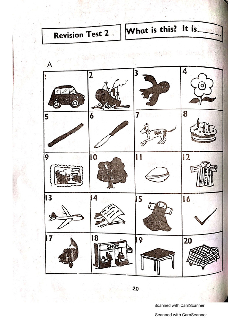 What Is This Quiz | PDF