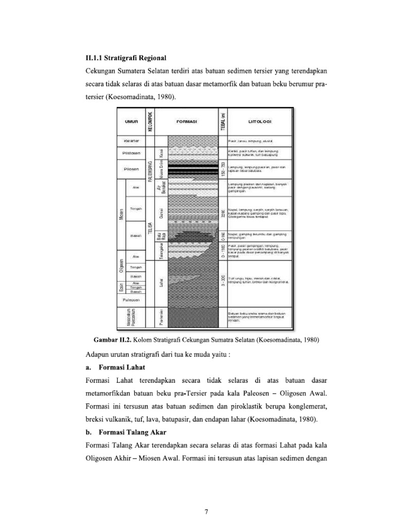 Stratigrafi | PDF