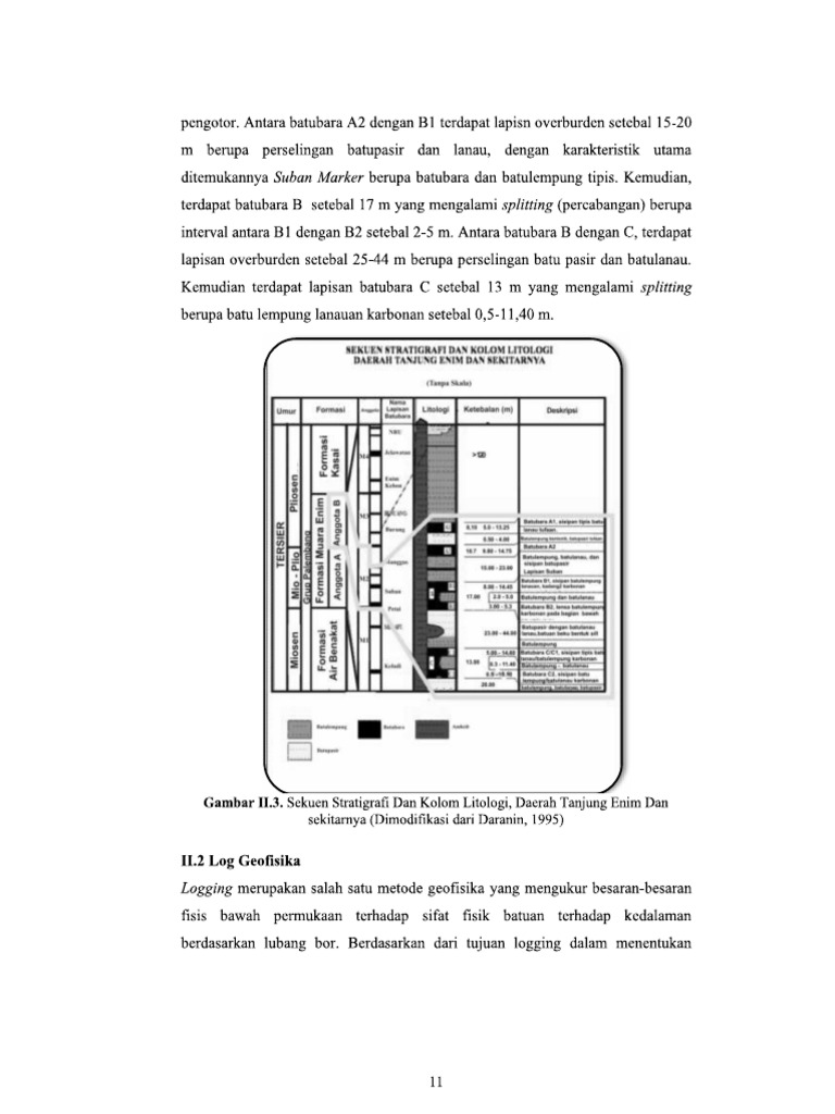 Kolom Stratigrafi | PDF
