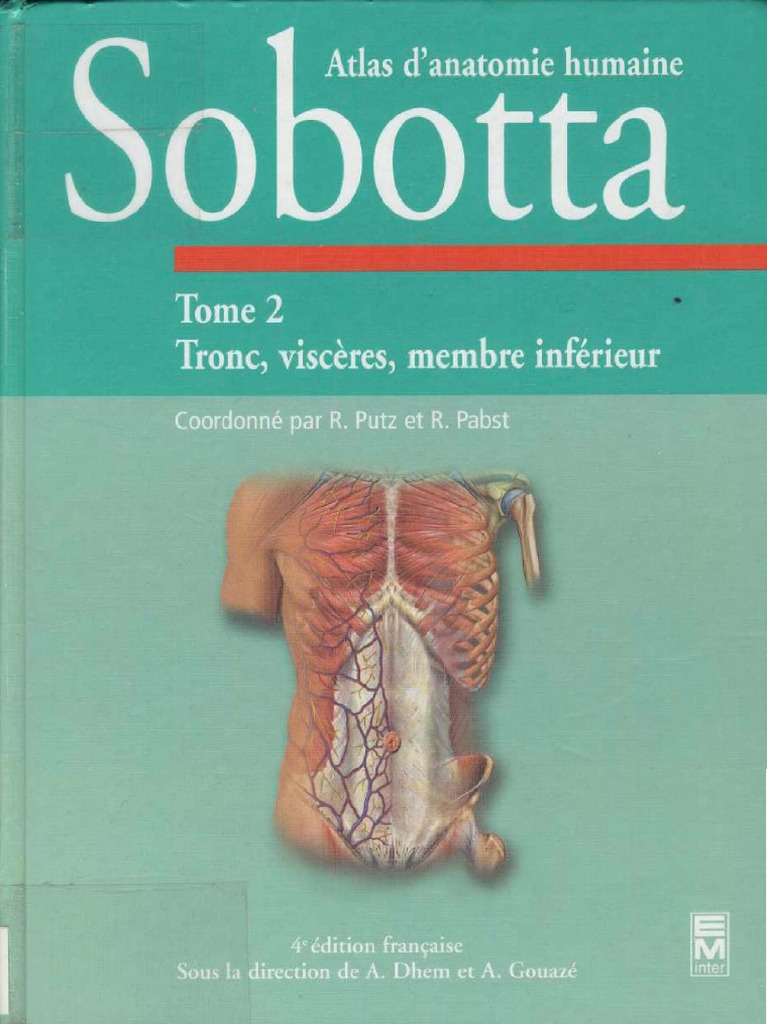 Sobotta - Anatomie Humaine - Sobotta Vol 2 | PDF