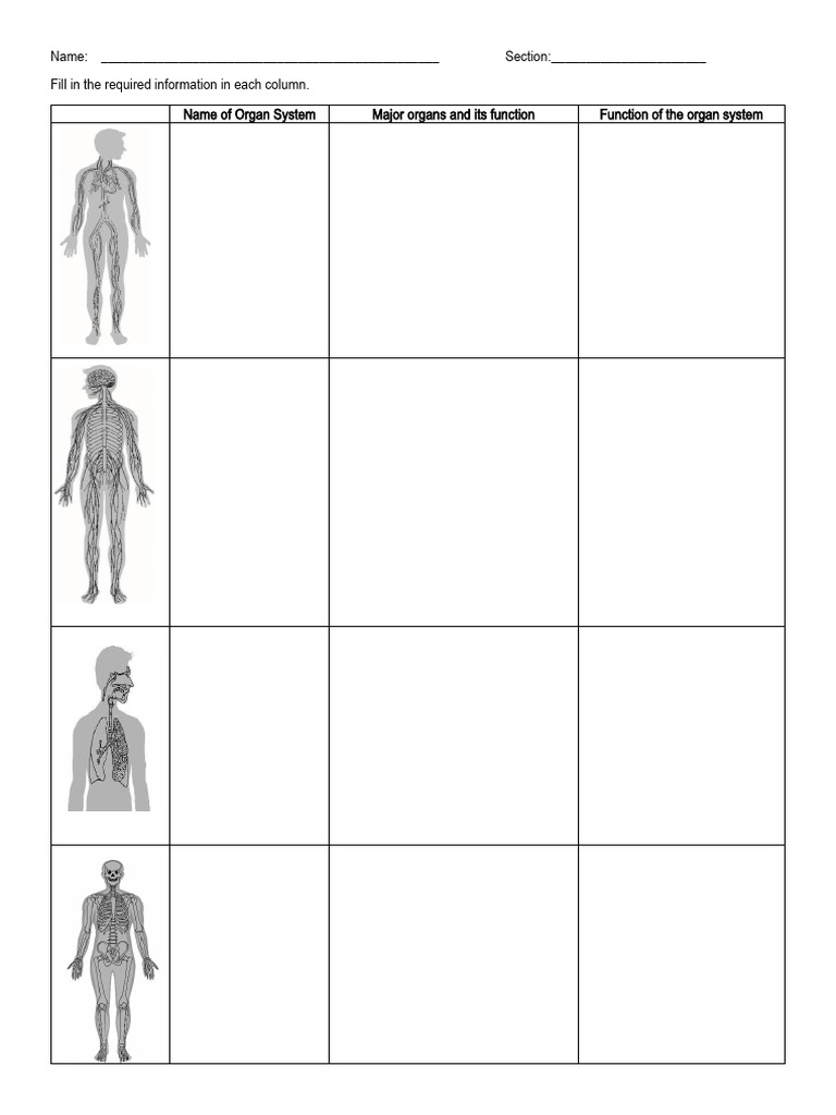 Biology Study Worksheet | PDF