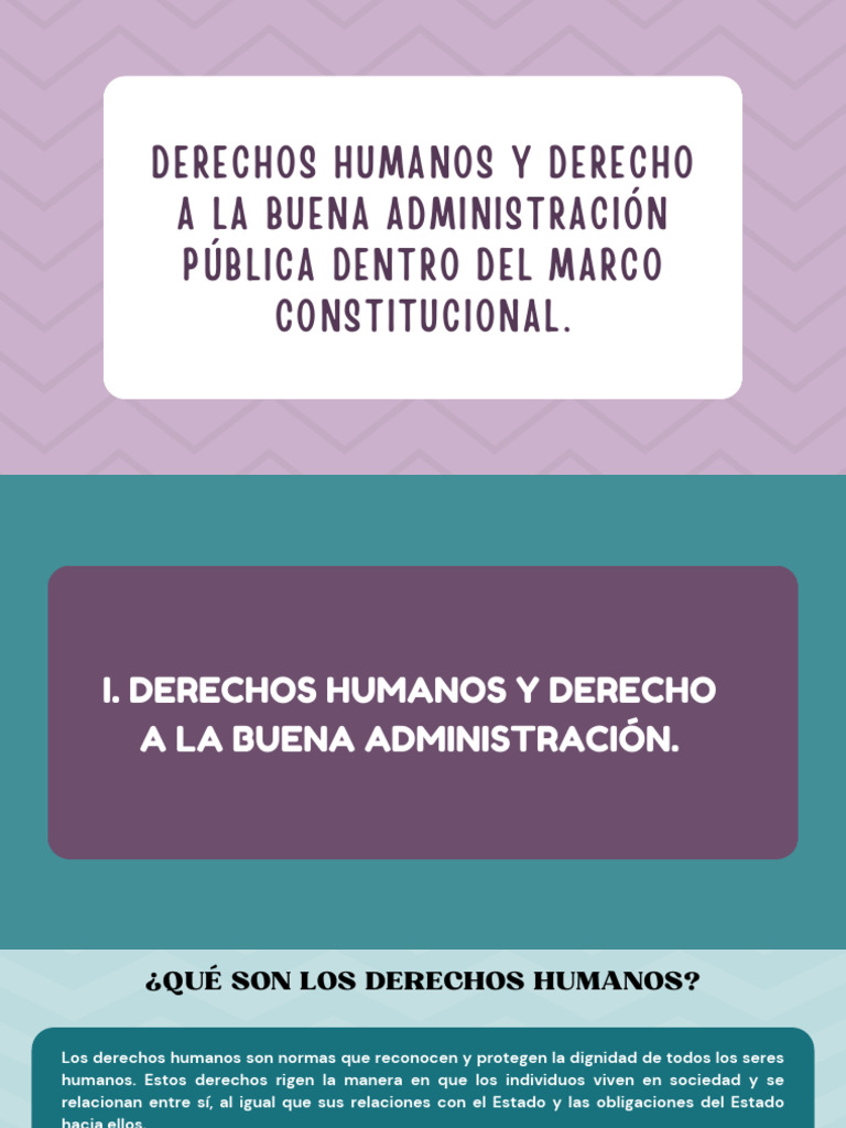 Derechos Humanos Pdf Constitución Derechos Humanos