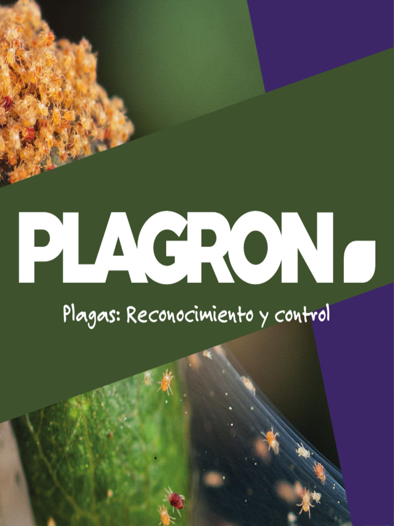 Pests Recognition and Control Es | PDF