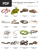 Mutupo - Shona | PDF | Zoology