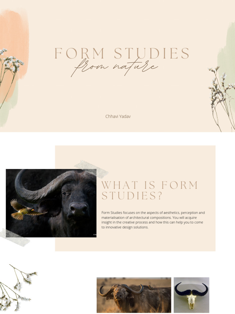 Form Studies | PDF