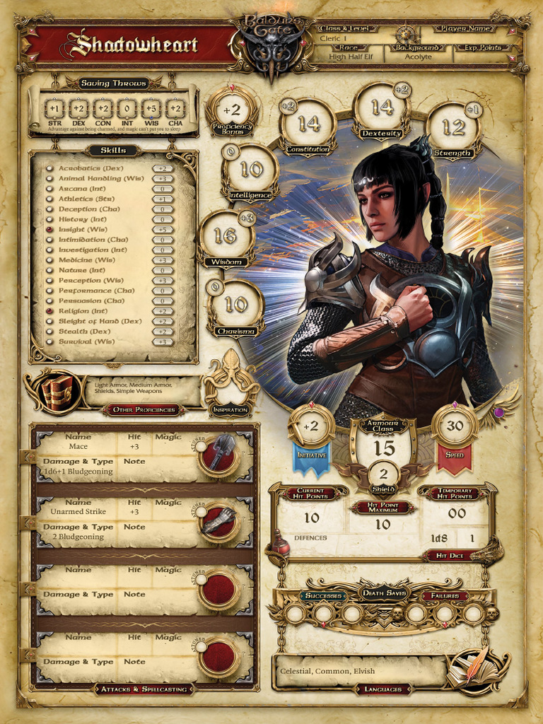 Character Sheets Shadowheart Single Sheets DIGITAL | PDF