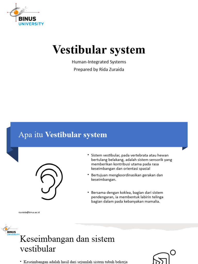 Vestibular Pdf Kesehatan Holistik