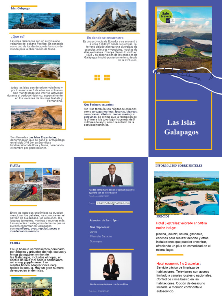 Plantilla de Triptico en Word 23 | PDF